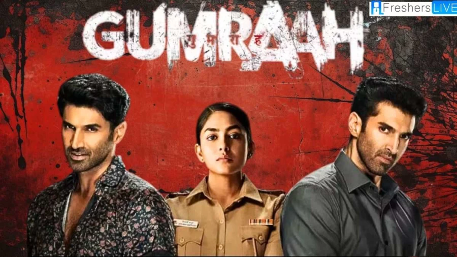 Gumrah 2024 Ending Explained, Is Gumrah a Real Story? Is Gumrah Remake ...